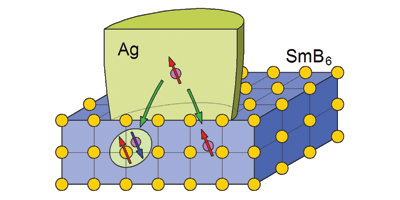 Probing Hybridization and Topological Surface States in a Model Kondo ...
